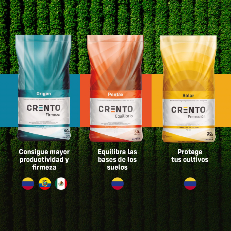 Innovación – Sumicol